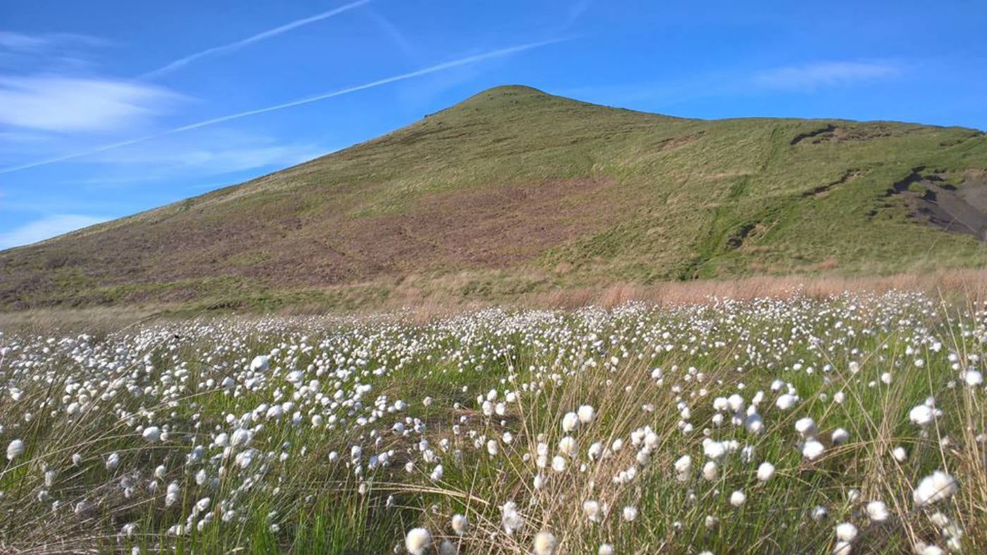 Marsden Moor | West Yorkshire | National Trust