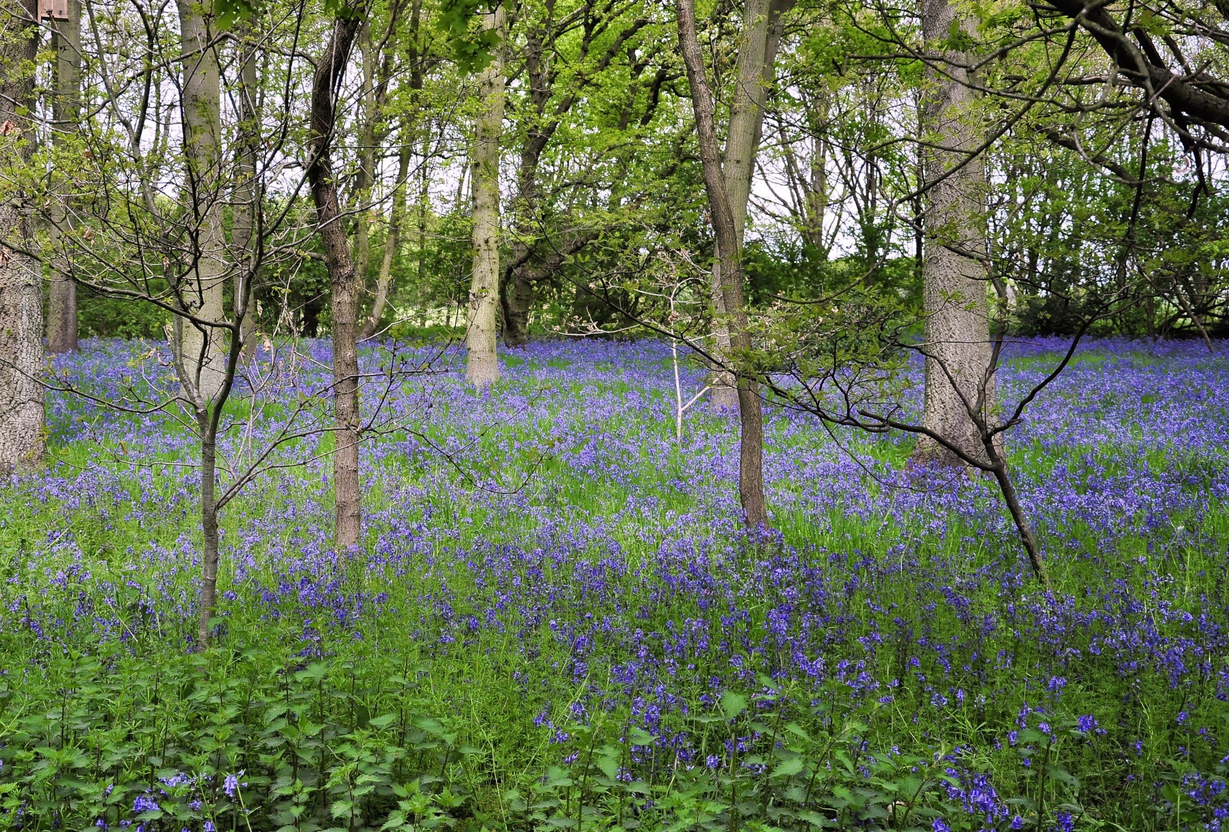 Visiting Nostell's estate |West Yorkshire | National Trust