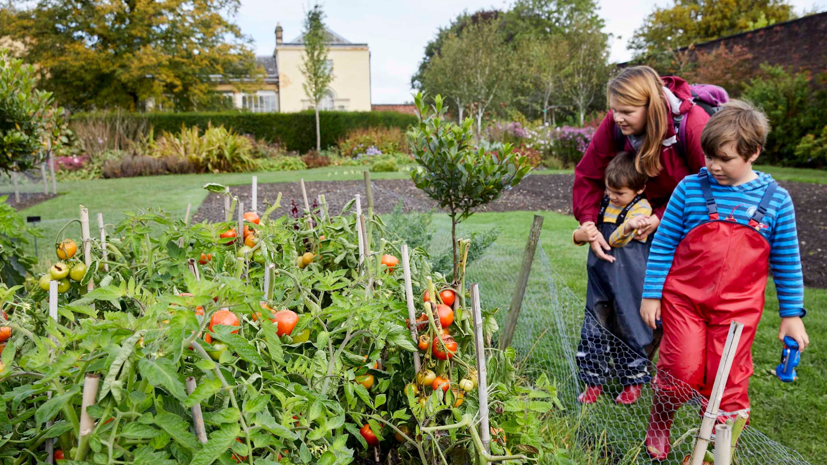 Things to do with the family | Yorkshire | National Trust