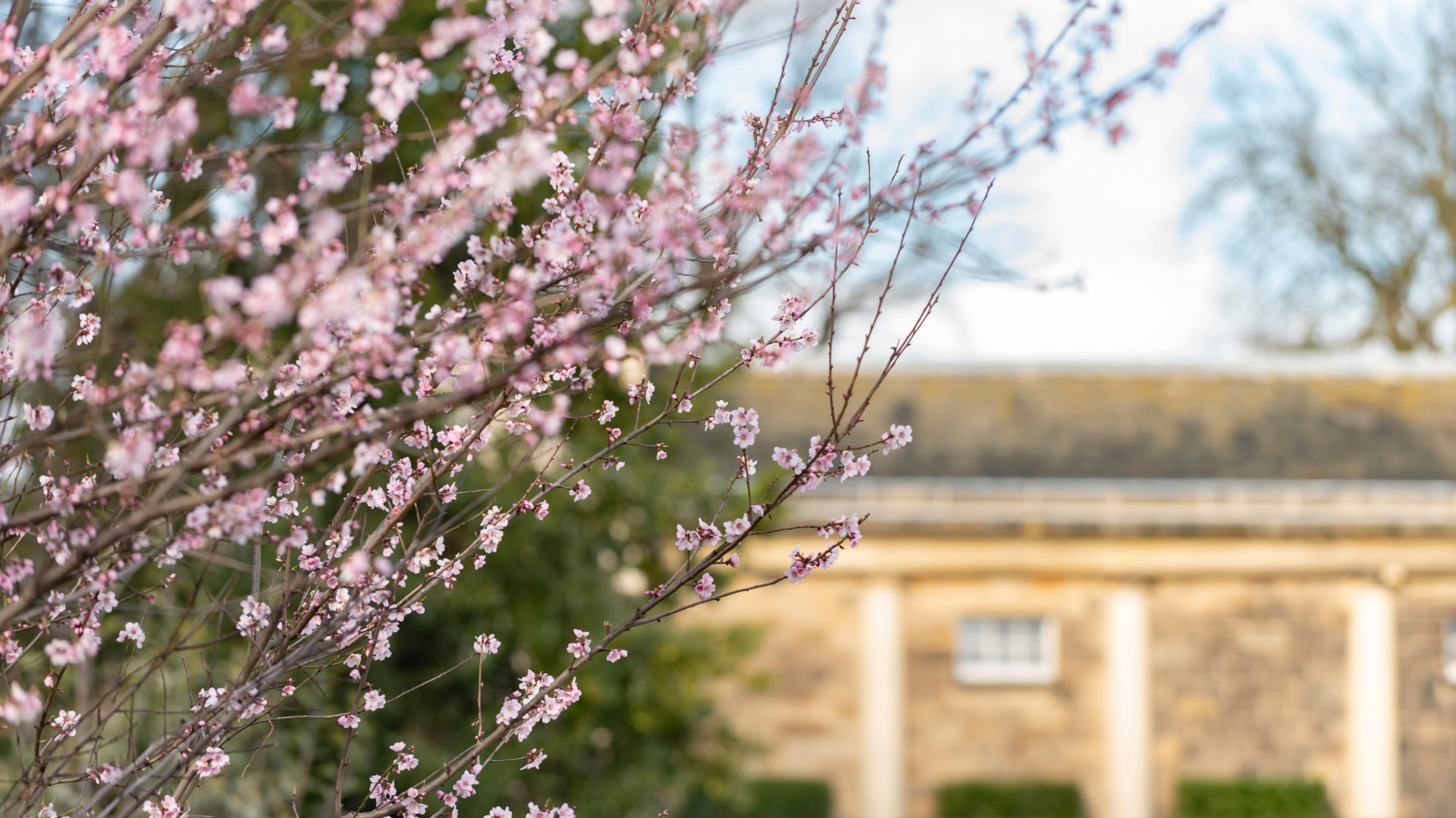 Visiting Nostell's garden | W Yorkshire | National Trust
