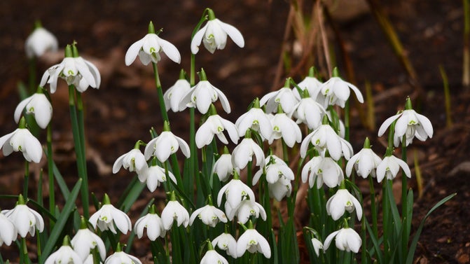 Visiting Nostell's garden | W Yorkshire | National Trust
