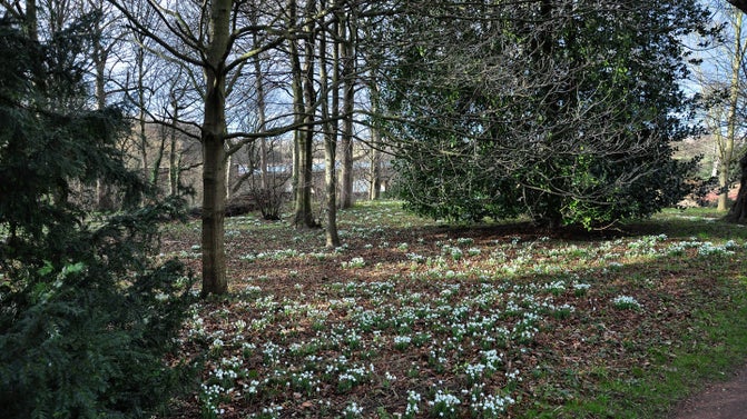 Visiting Nostell's garden | W Yorkshire | National Trust