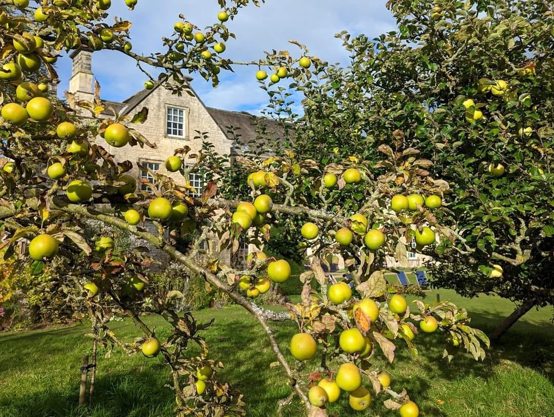 Days out with kids at Nunnington Hall | National Trust