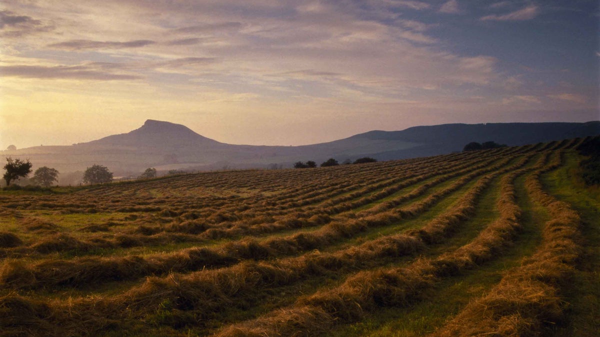 Captain Cook at Roseberry Topping | National Trust