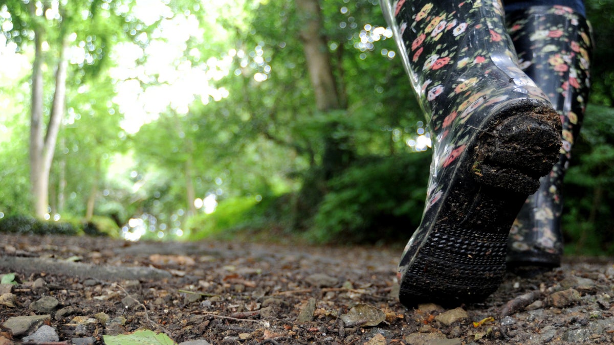 Roseberry Topping paths | North Yorkshire | National Trust