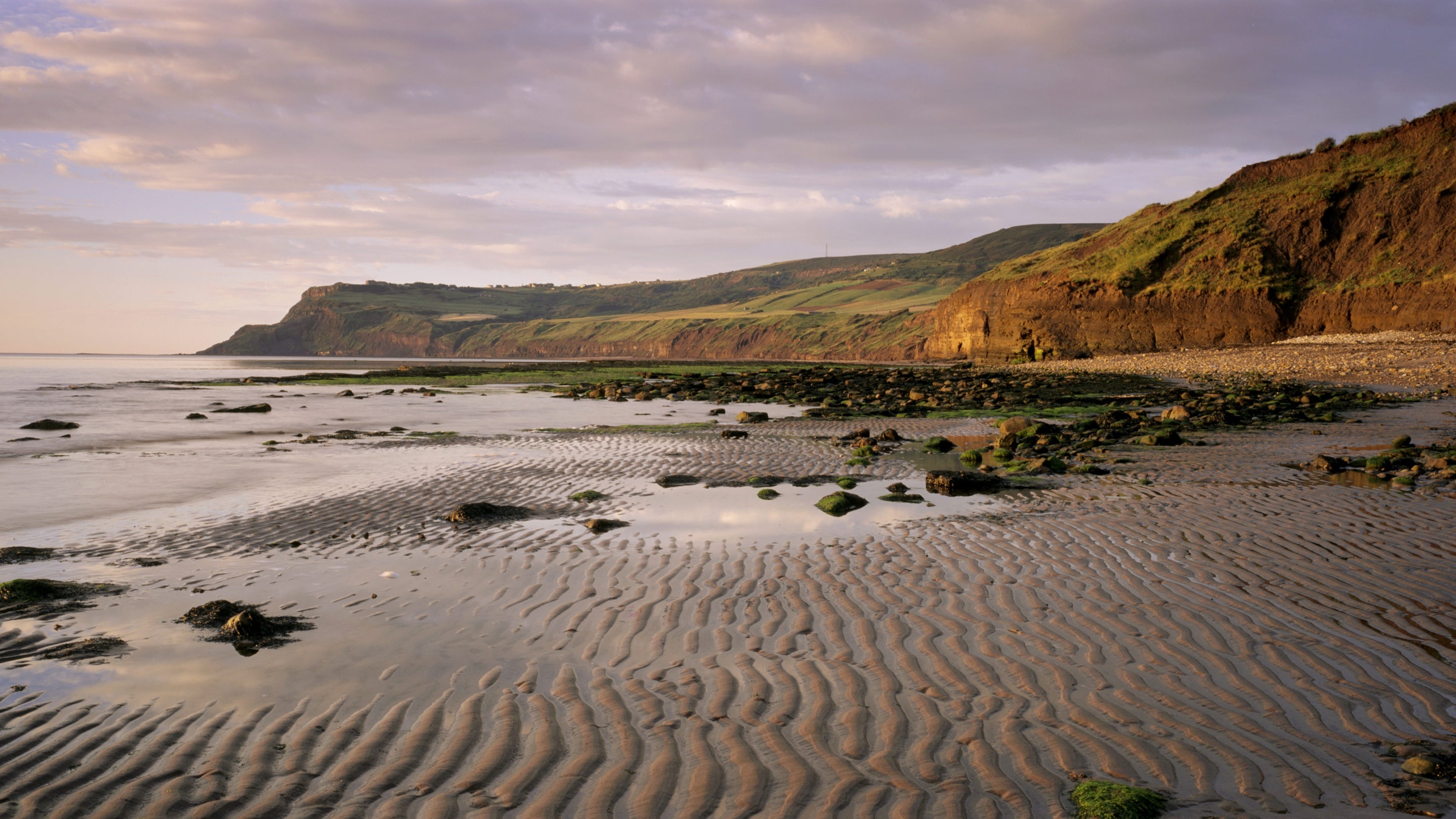 Things to see and do on the Yorkshire Coast | National Trust