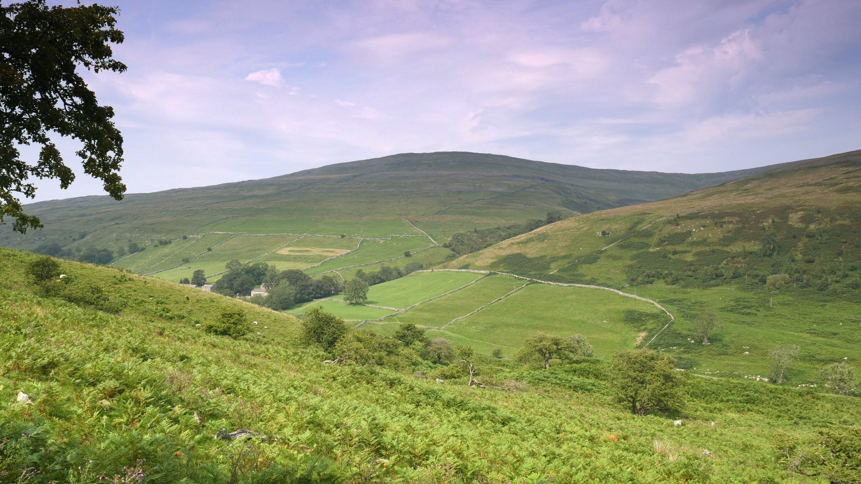 Services | National Trust