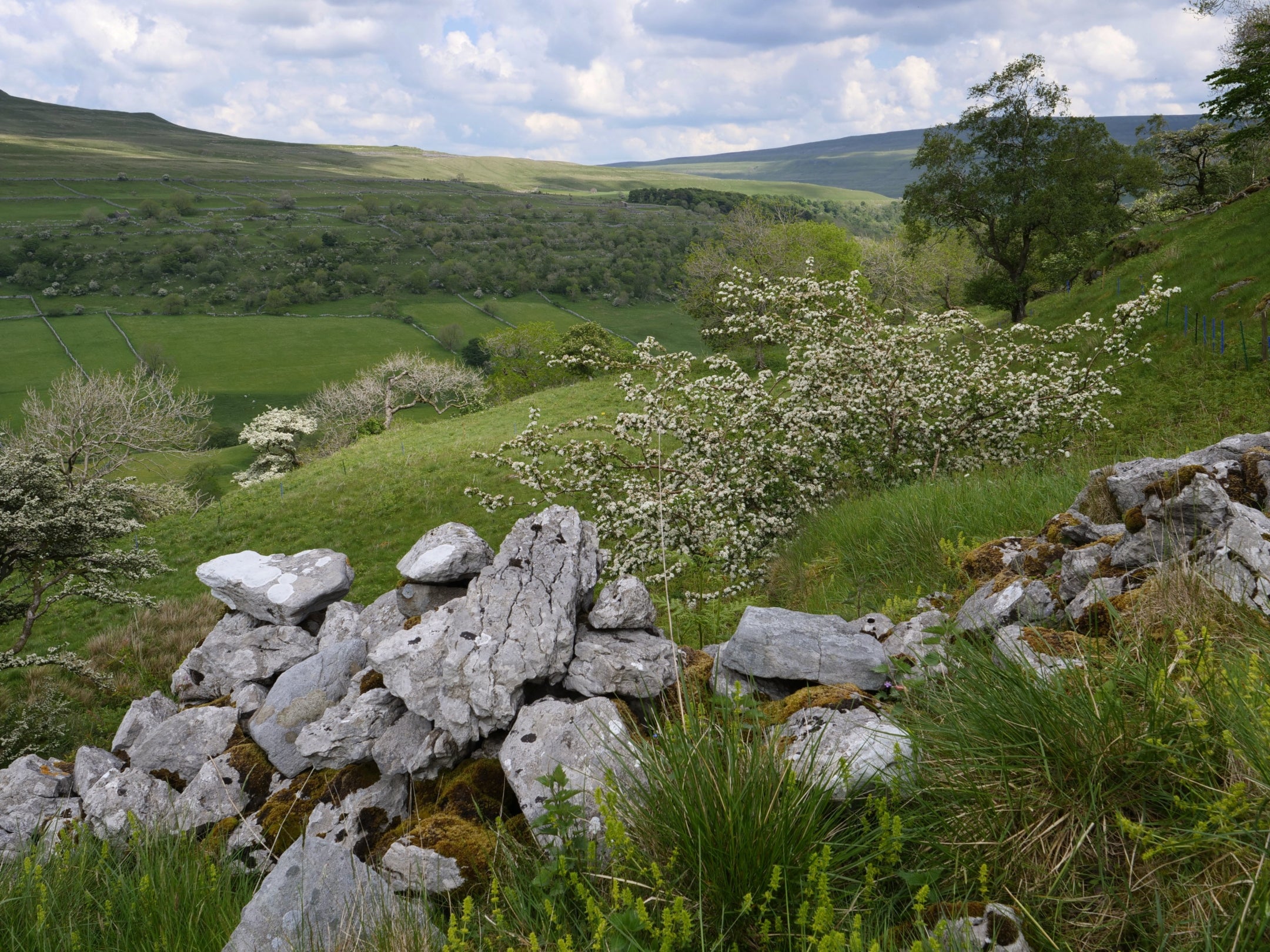 Yorkshire Dales | North | National Trust